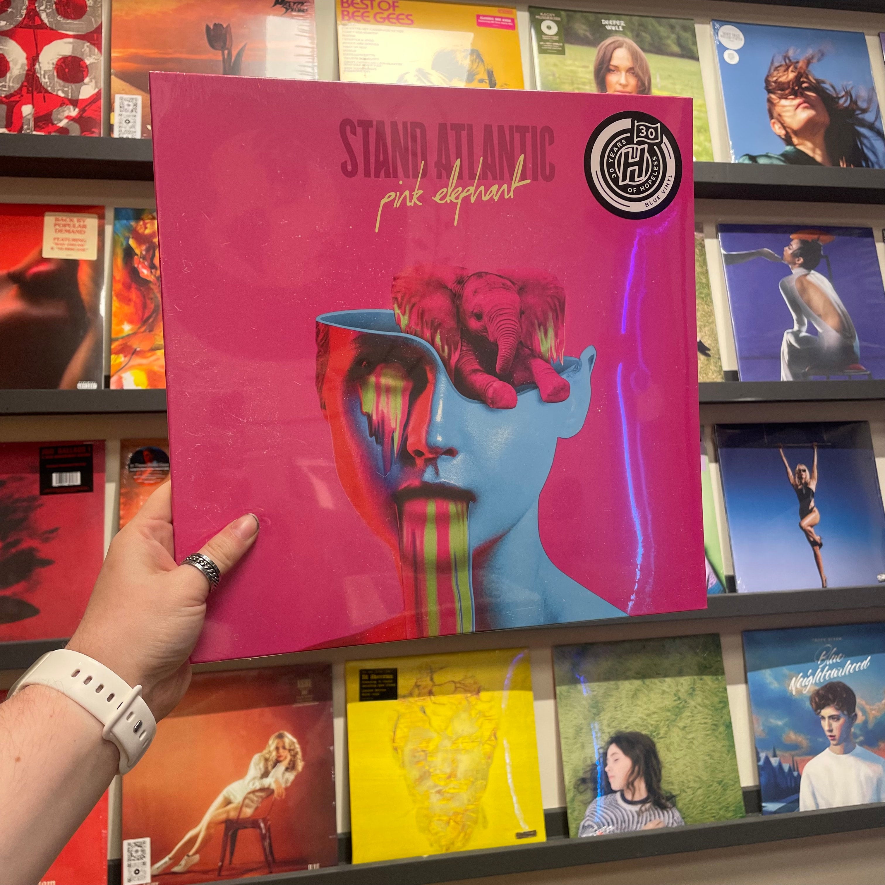 Stand Atlantic Pink Elephant Indie Earth Stand Atlantic Pink Elephant Indie Earth