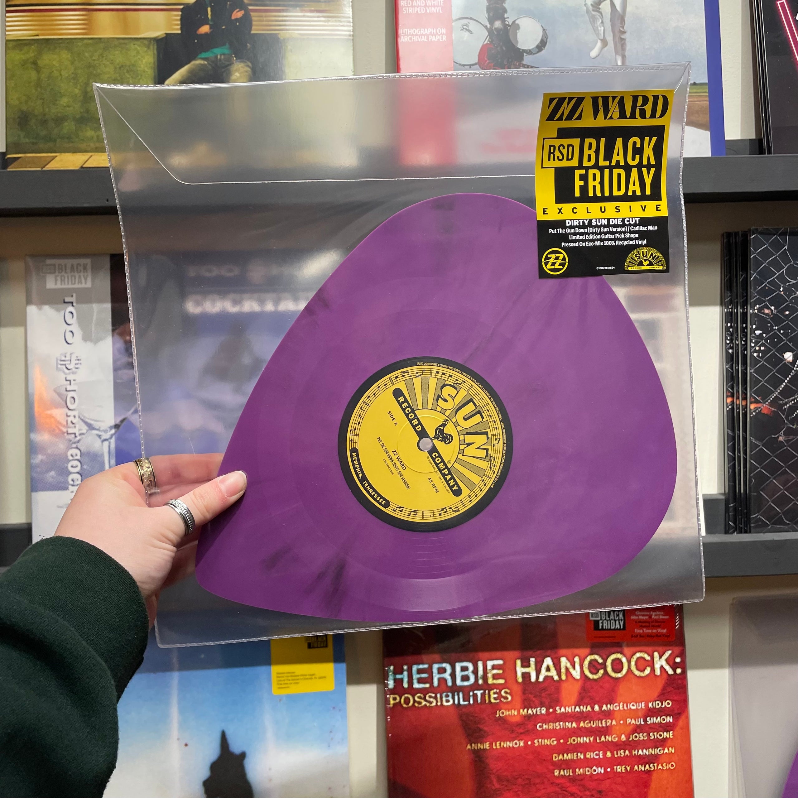 ZZ Ward - Put The Gun Down (Reimagined 2024) | Indie Earth